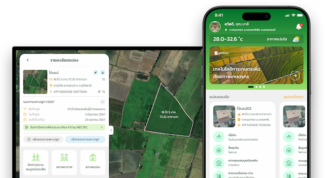 Dragonfly Challenge 2025